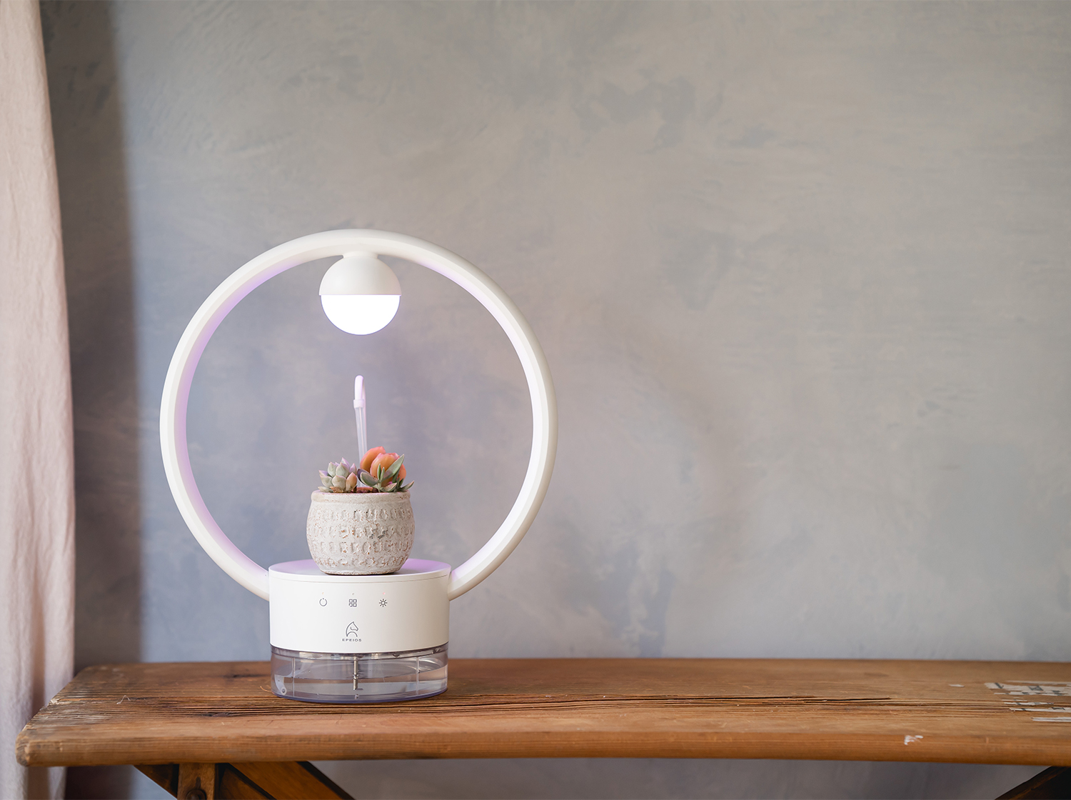 多⾁植物を飾るテーブルランプ「TANIQUE」 | EPEIOS（エペイオス）のプレゼント・ギフト通販 | TANP（タンプ）